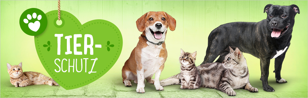 Tierschutz Programm