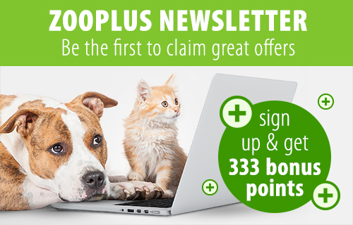 Zooplus Magazine - Pet Advice and Info