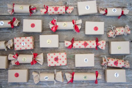 Making Your Own Cat Advent Calendar | zooplus Magazine