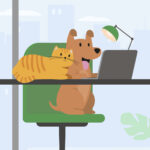 Irish Wolfhound: Character, Training, Appearance & History | zooplus ...