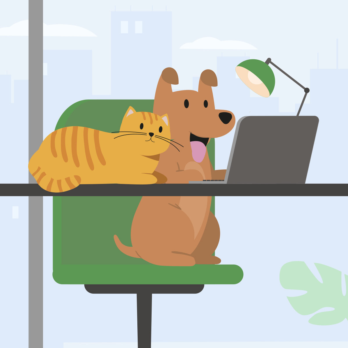 Irish Wolfhound: Character, Training, Appearance & History | zooplus ...